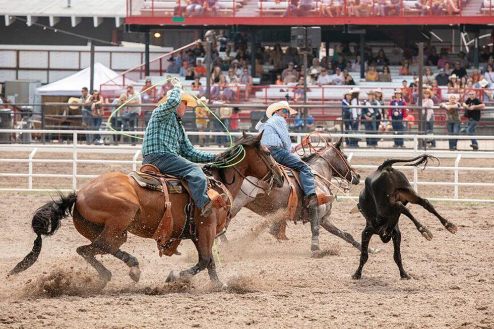 Cheyenne Frontier Days, Cowboy Skill Honor Wyoming Heroes and Military ...